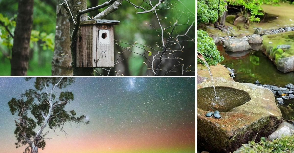 8 Effective Ways to Attract Owls and Predatory Birds to Your Garden ...