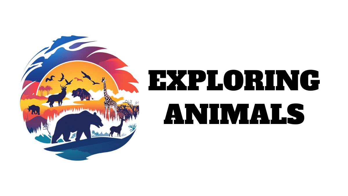 Exploring Animals - Nature’s Wonders Big, Small, and Extraordinary