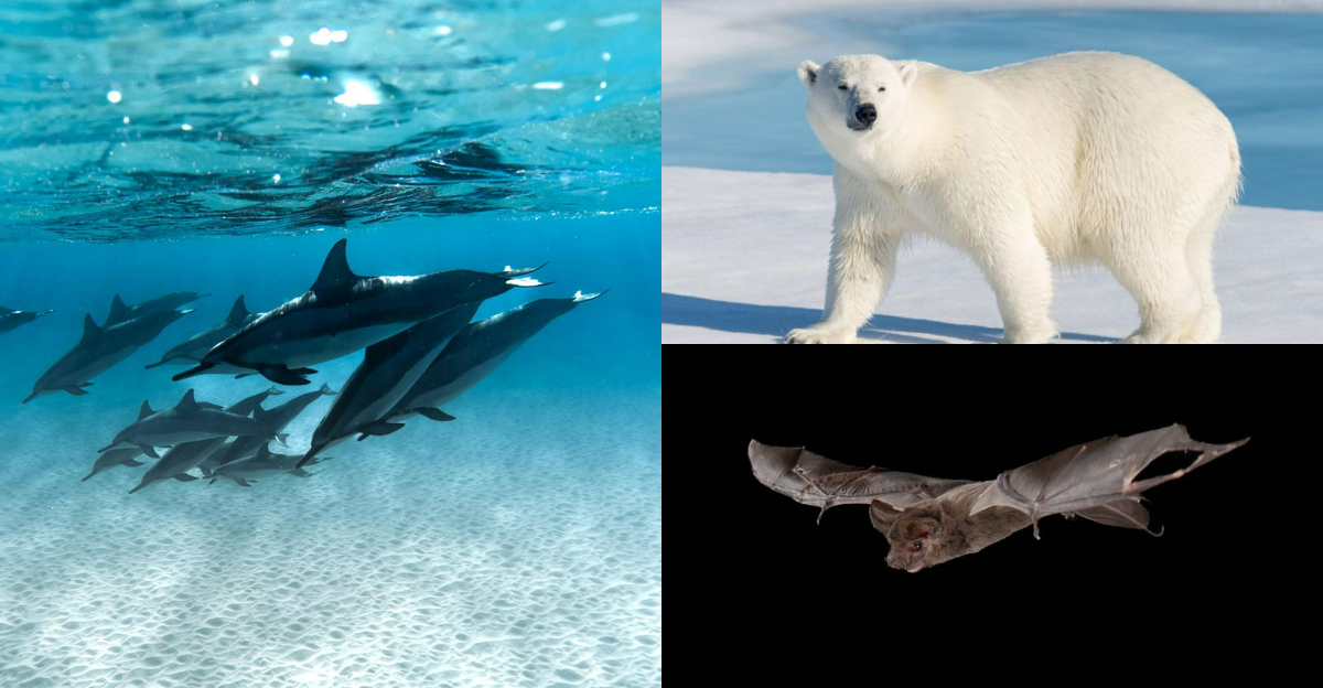 11 Interesting Mammal Questions You Never Knew You Needed Answered ...