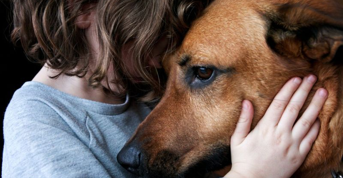 13 Reasons Why Dogs Make Perfect Companions For Introverts - Exploring ...
