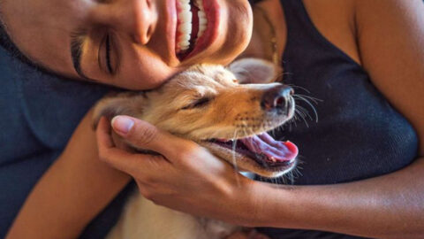 15 Small Gestures That Strengthen Your Bond With Your Dog - Exploring ...
