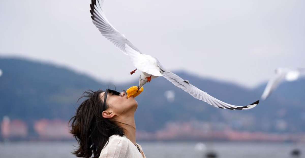 18 Animals That No Longer Fear Humans - Exploring Animals