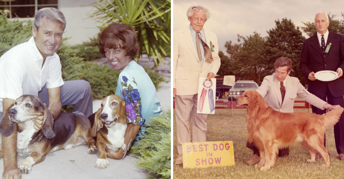 18 Popular Dog Breeds from the ’70s Everyone Had - Exploring Animals