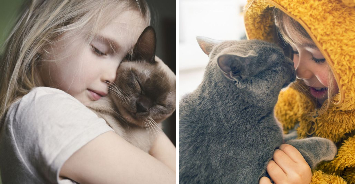 20 Cat Breeds That Behave Well With Children - Exploring Animals