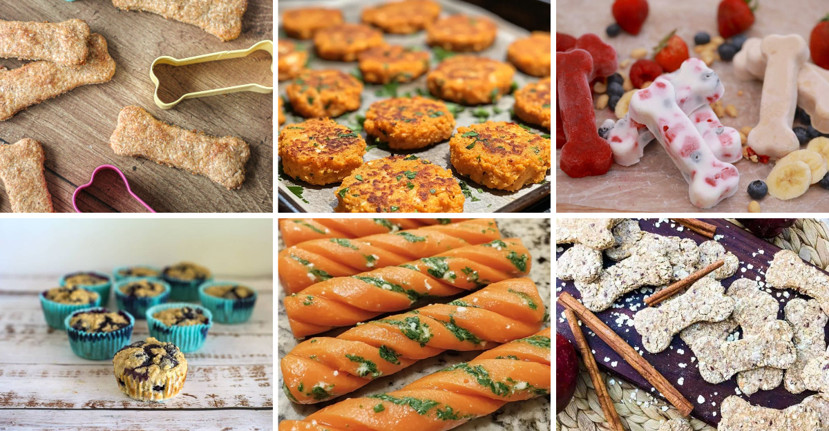 23 Easy Homemade Dog Treats You Can DIY at Home - Exploring Animals
