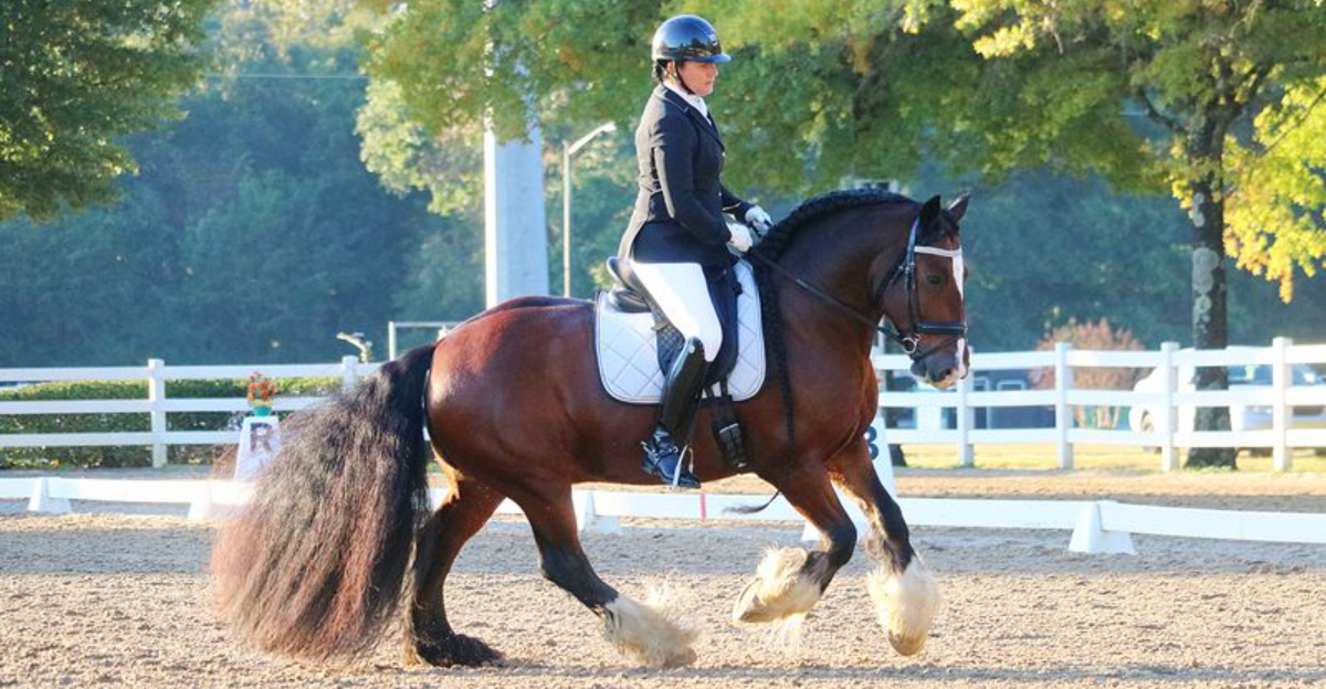 23 Best Horse Breeds for Riding Enthusiasts - Exploring Animals