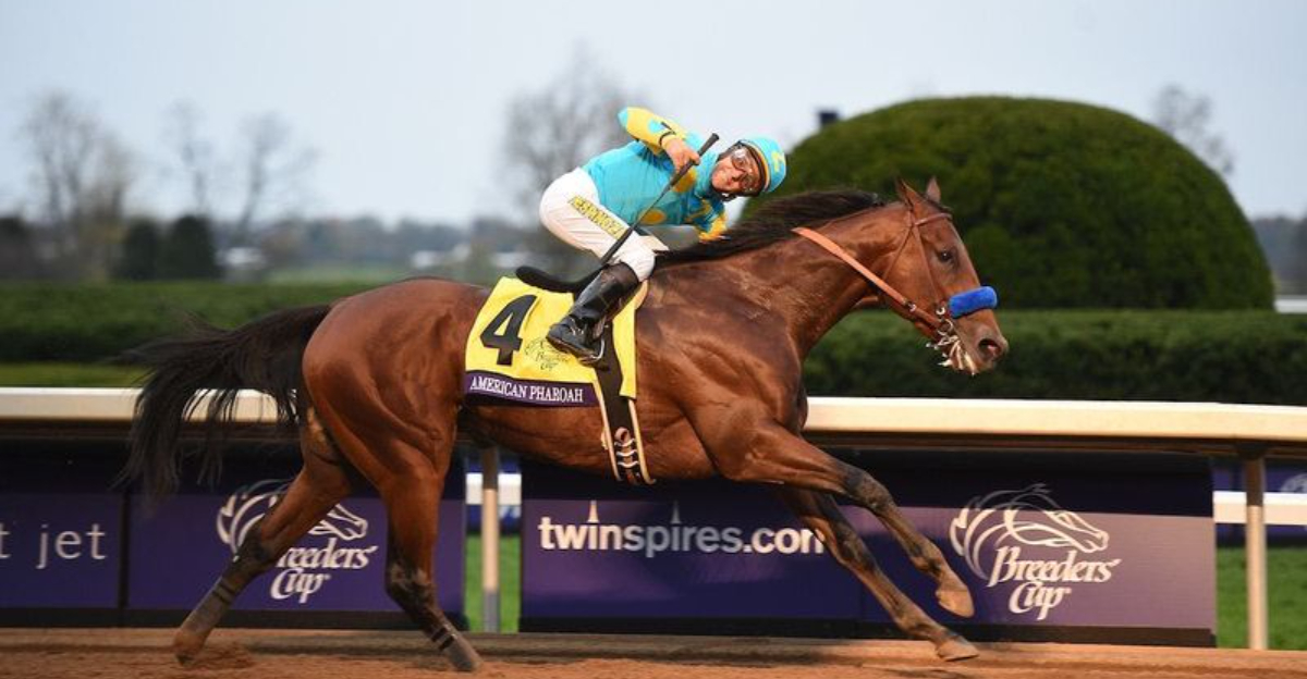 22 Fastest Horses Ever Bred for Speed and Power - Exploring Animals