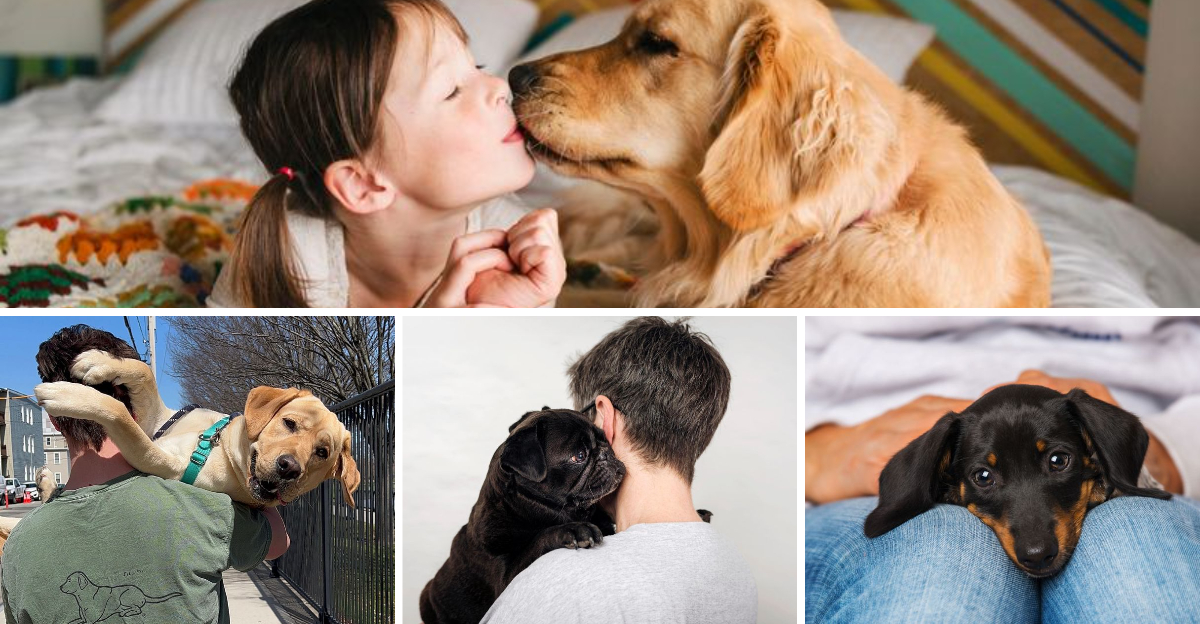 25 Dog Breeds That Bond More with Humans than Other Dogs - Exploring ...