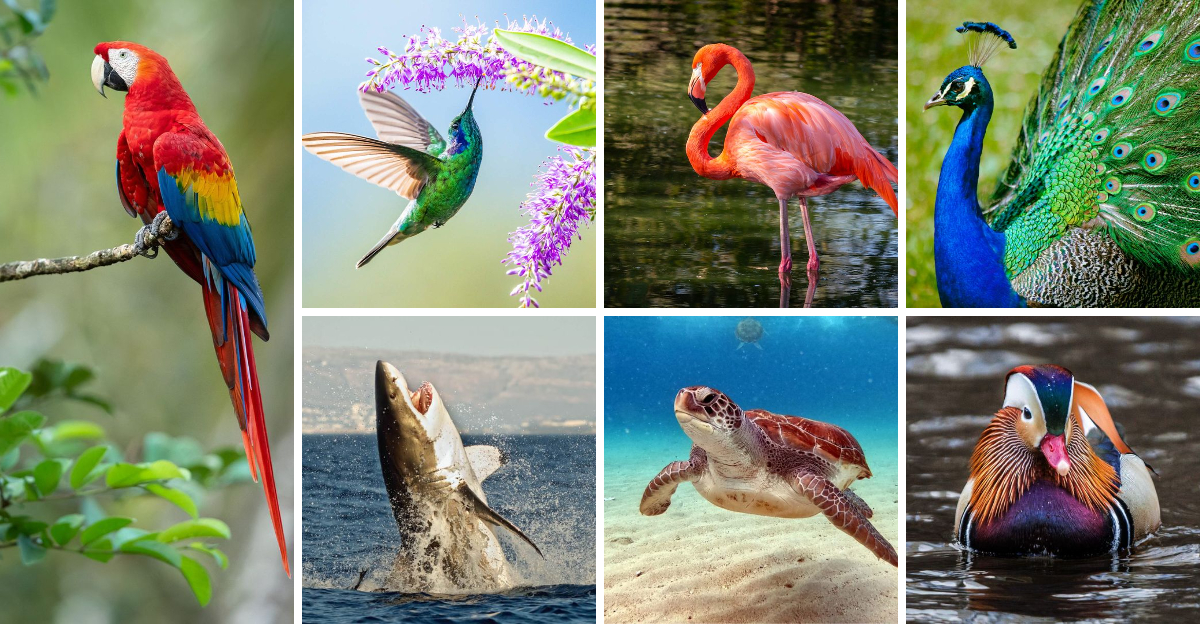 26 of the Most Majestic and Mindblowing Creatures on the Planet ...