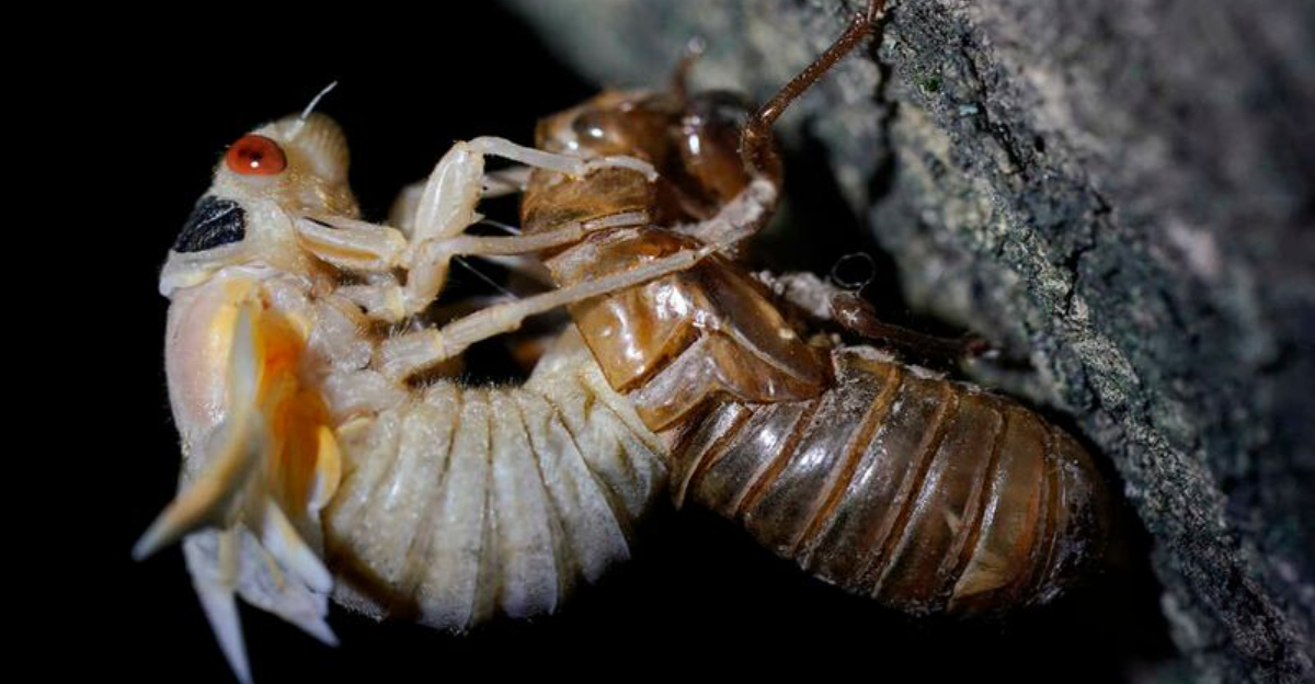 27 Insane Animal Facts That Prove U.S. Wildlife Is Stranger Than ...