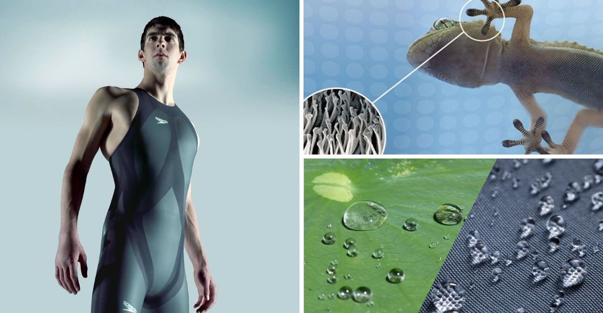 24 Animal-Inspired Inventions Changing the World (Shark Skin to Bullet ...
