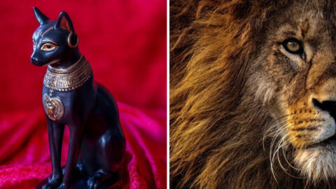 20 Animals That Were Once Worshipped as Gods and Divine Symbols ...