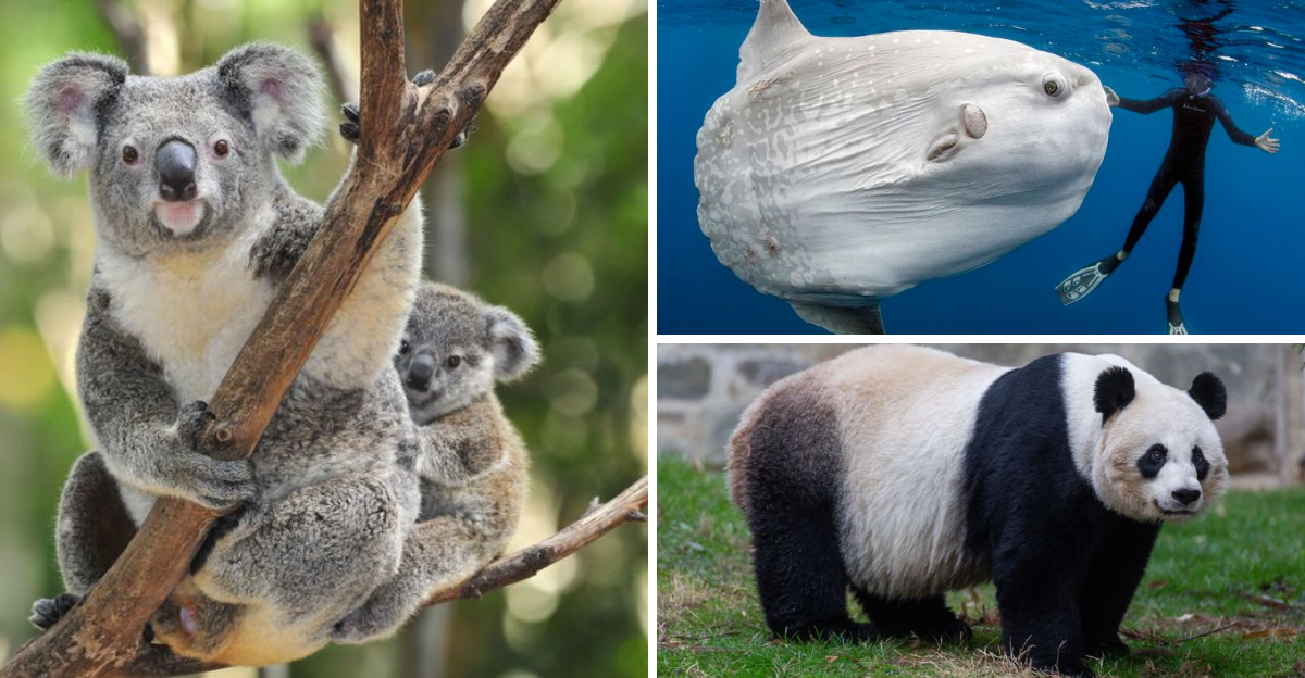 22 Animals with the Most Unusual Diets (Pandas Eating 40 lbs of Bamboo ...