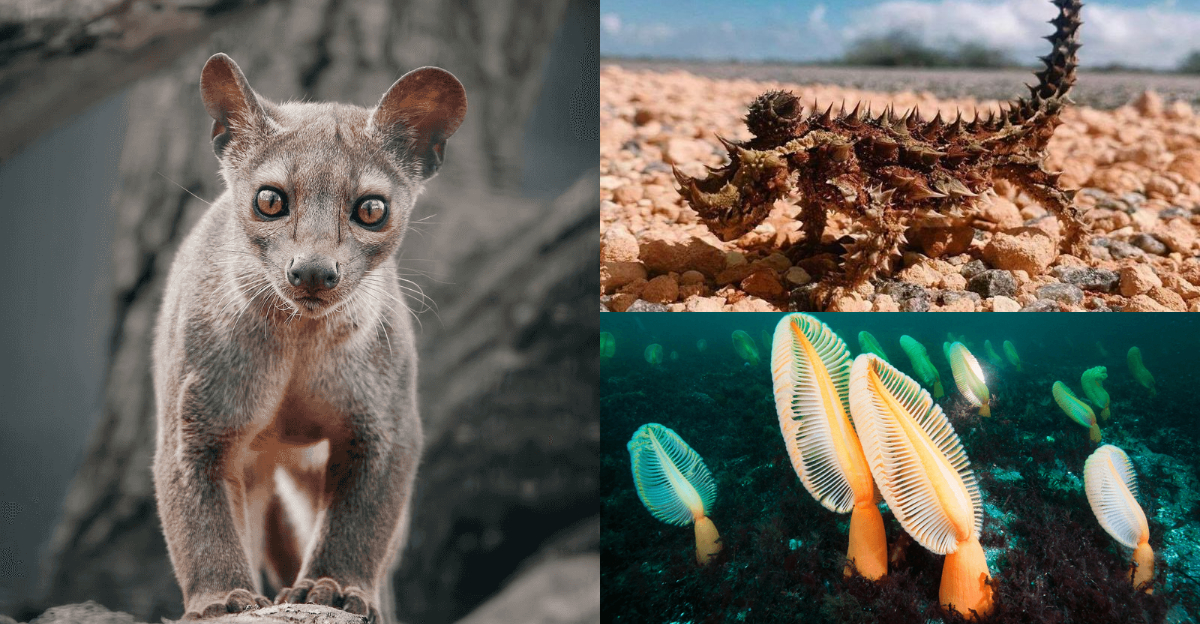 29 Frightening Wild Animals You Never Knew Lived in Our World ...