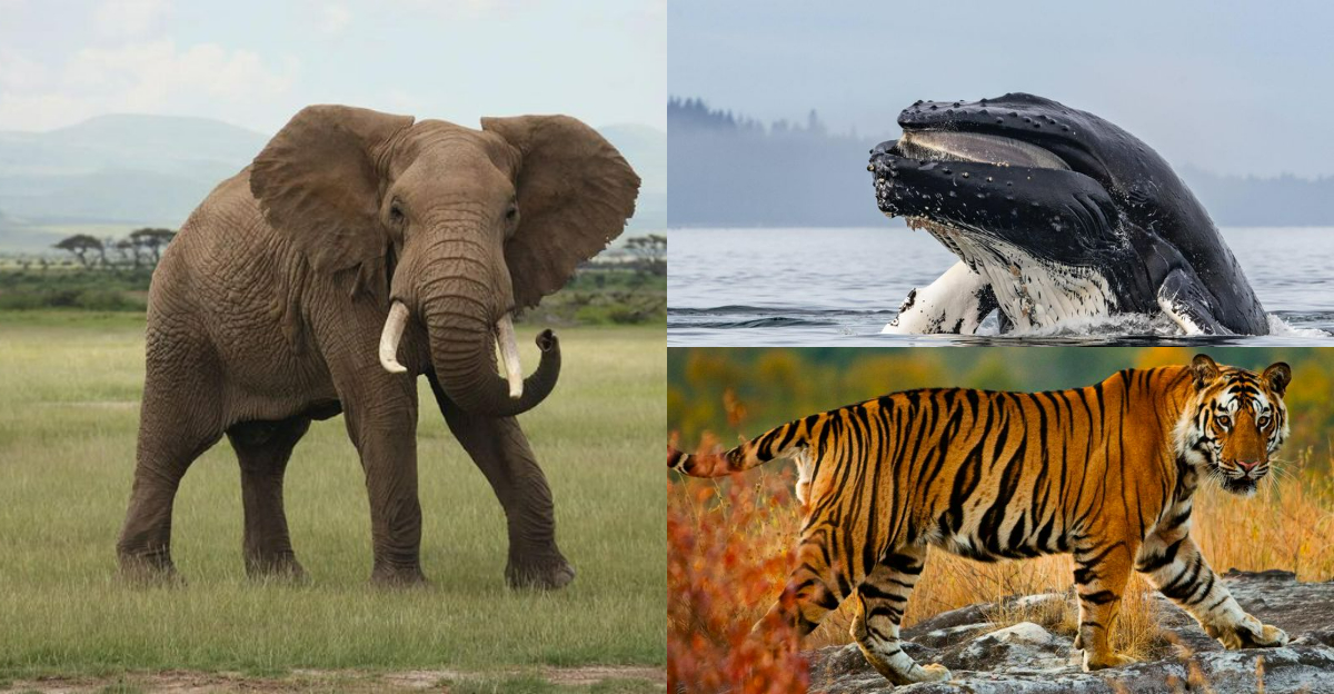 24 Incredible Animals That Are Best Experienced in the Wild in Their ...