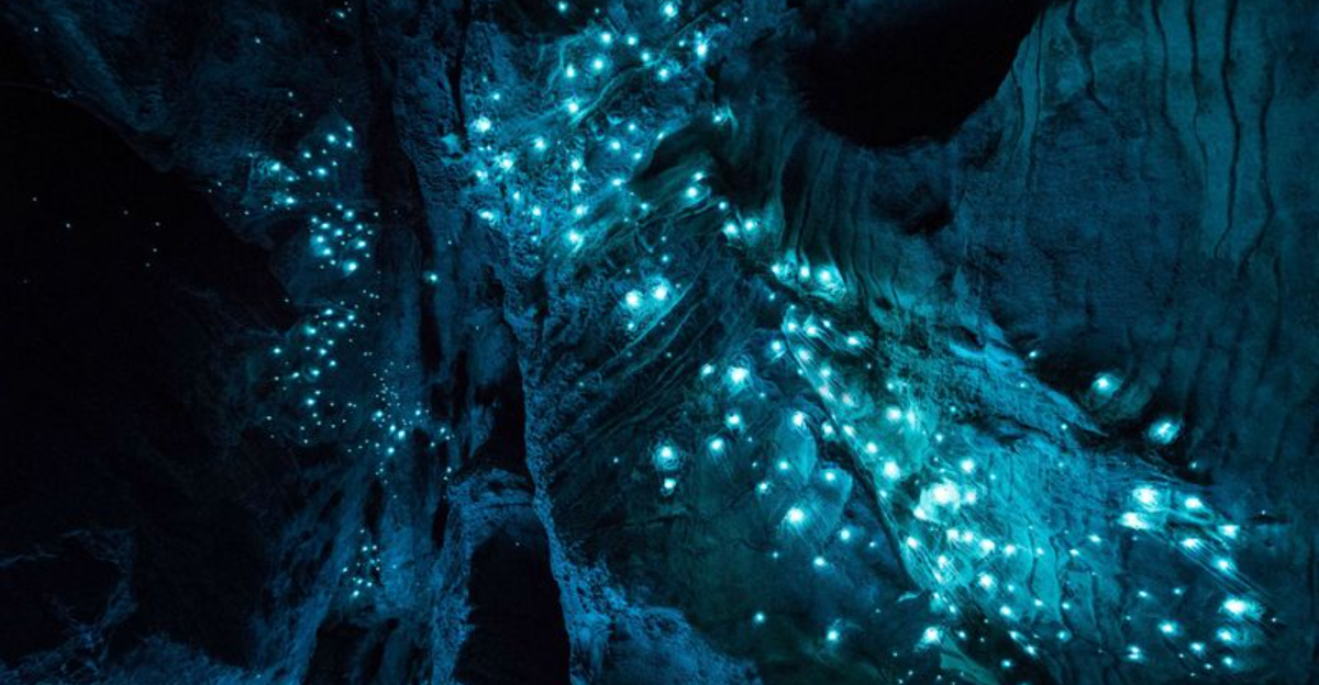 22 Strange and Unusual Animals That Live in Caves - Exploring Animals