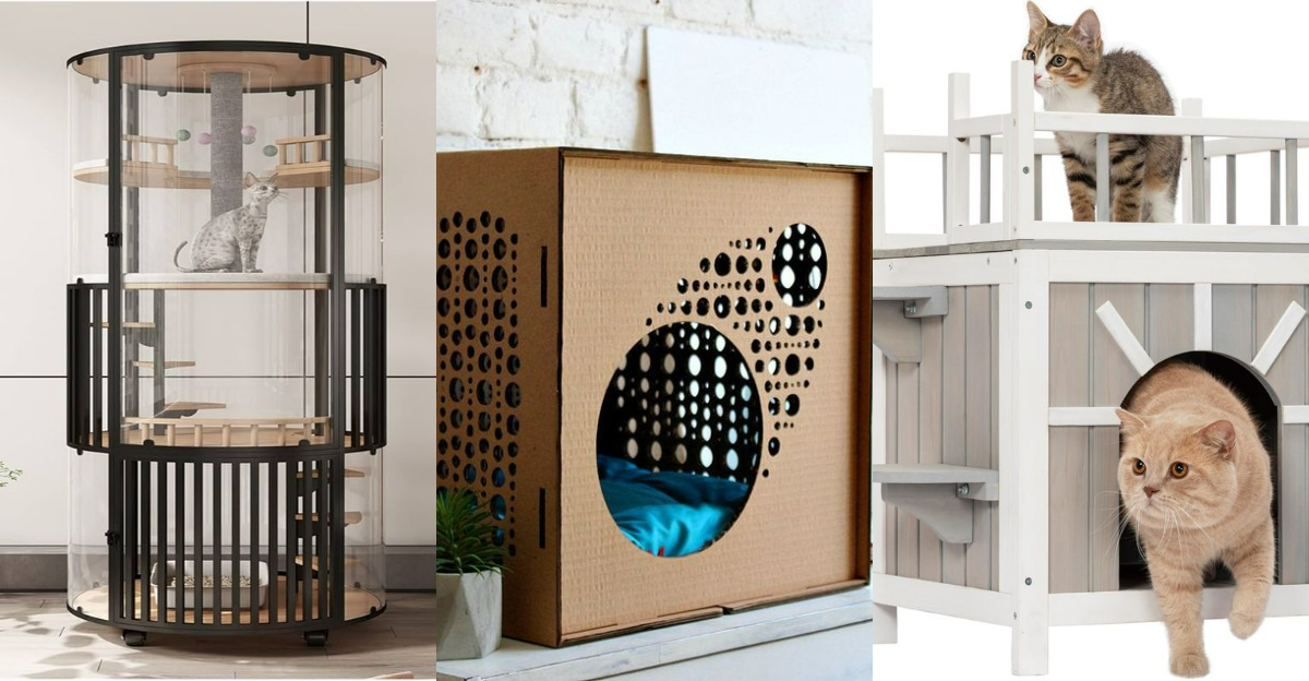 25 Stylish Cat Houses That Blend Comfort and Functionality - Exploring ...