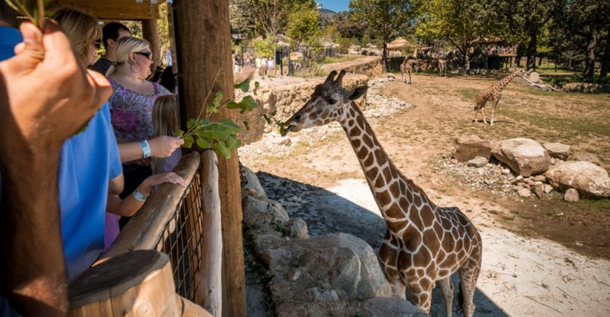 The 25 Biggest and Best Zoos in the U.S. for Animal Lovers - Exploring ...