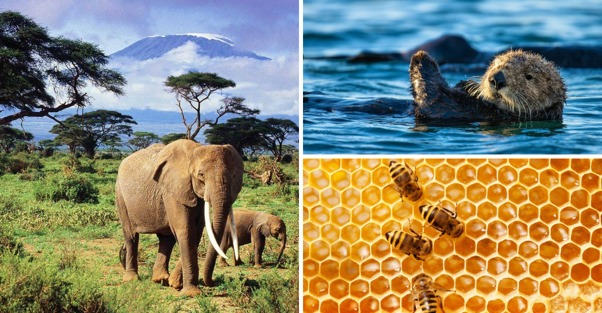 The 25 Most Important Species That Keep Earth’s Ecosystems Alive ...
