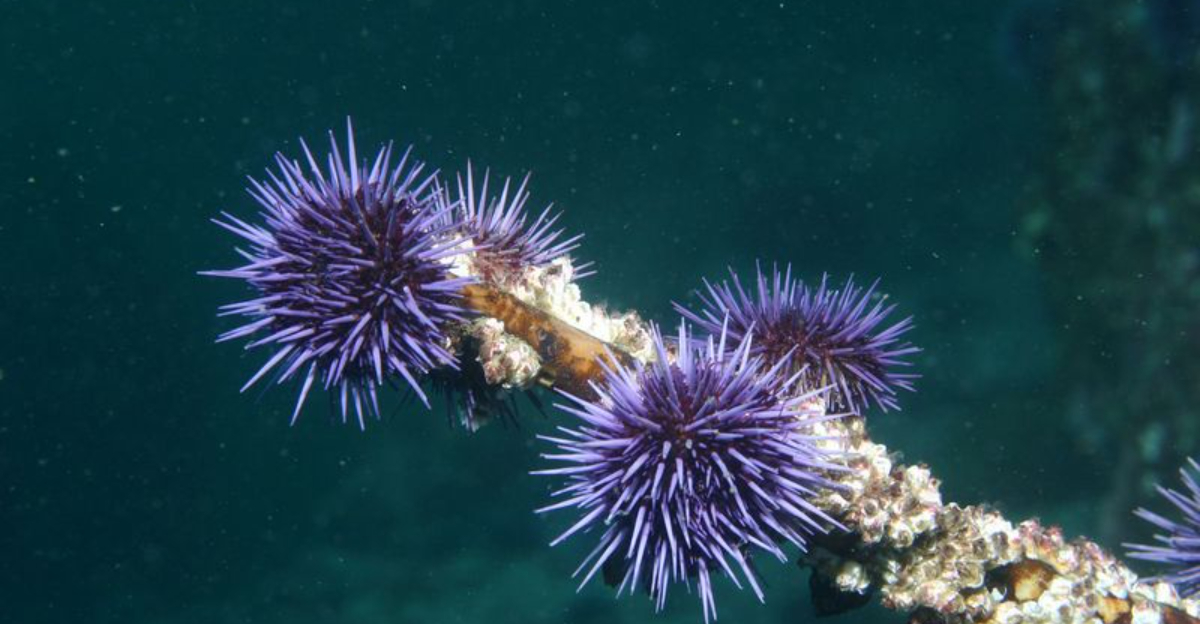 These 17 Creatures Can Regrow Body Parts And The Science Behind ...