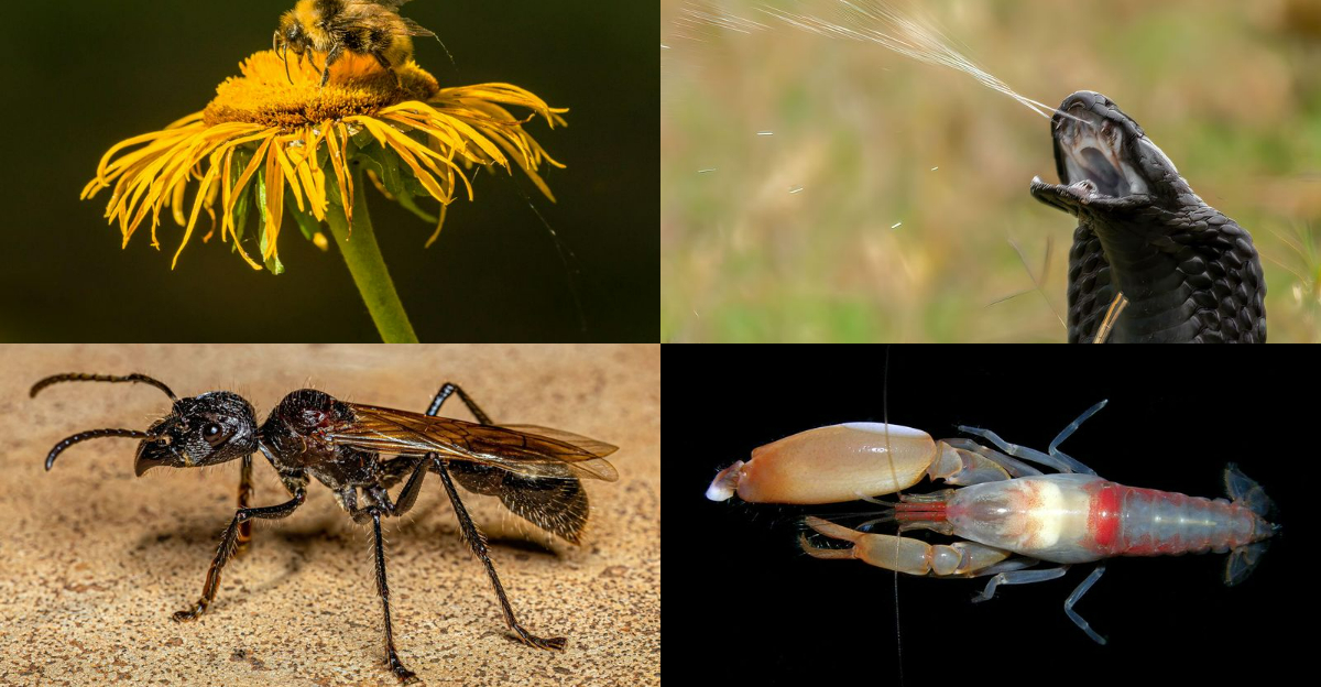 23 Tiny Creatures That Can Take Down Predators Twice Their Size ...