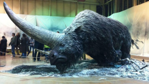 20 Animals Unbelievably Found Preserved Frozen In Ice - Exploring Animals