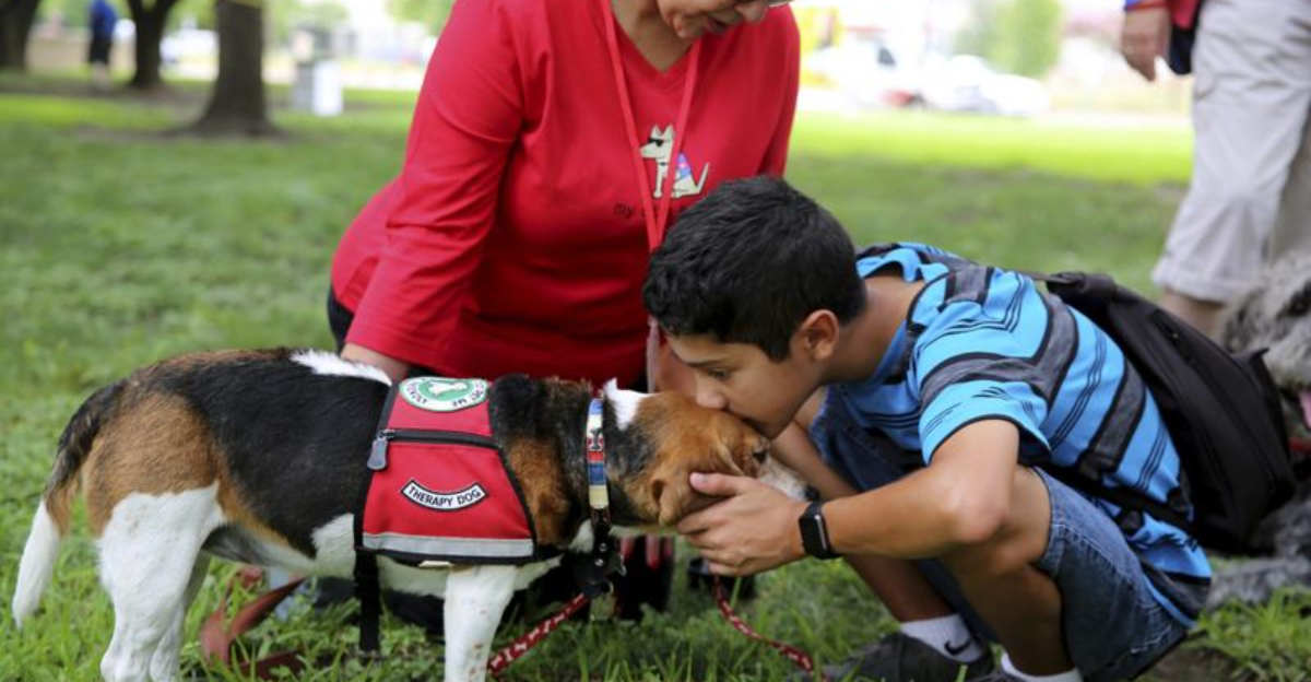 24 Dogs With Unshakable Courage in the Face of Danger - Exploring Animals