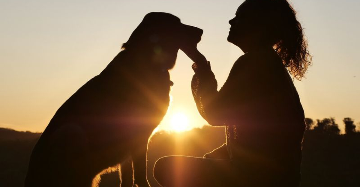 13 Reasons Animal Lovers are Better People than Most Humans - Exploring ...