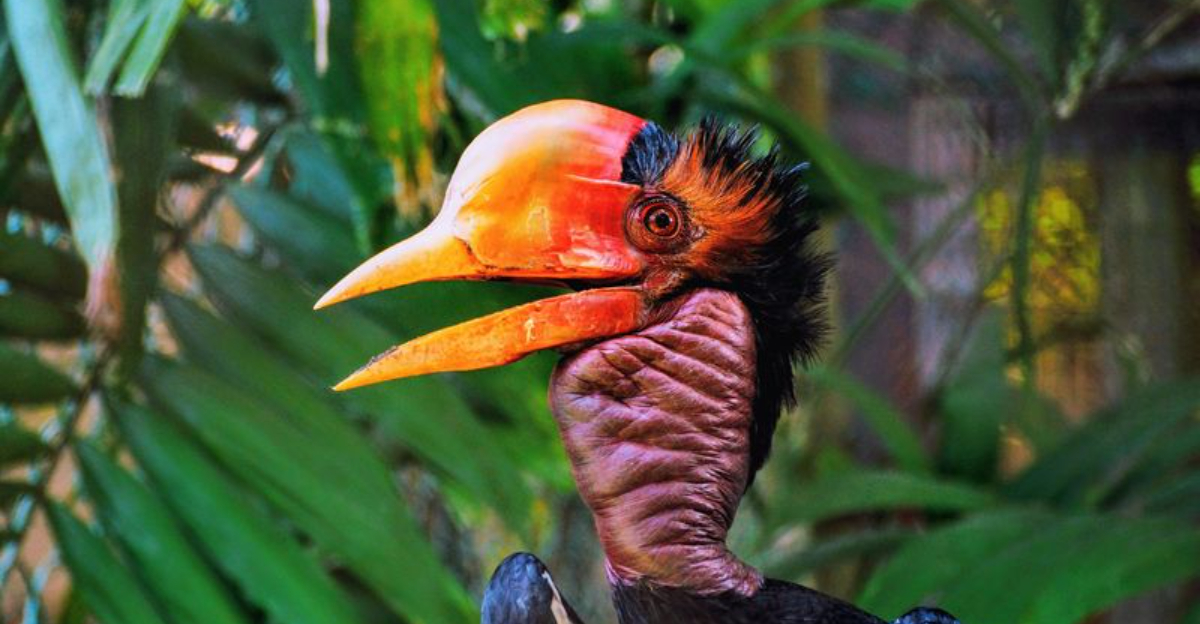 15 of the World’s Deadliest Birds and How to Stay Safe - Exploring Animals