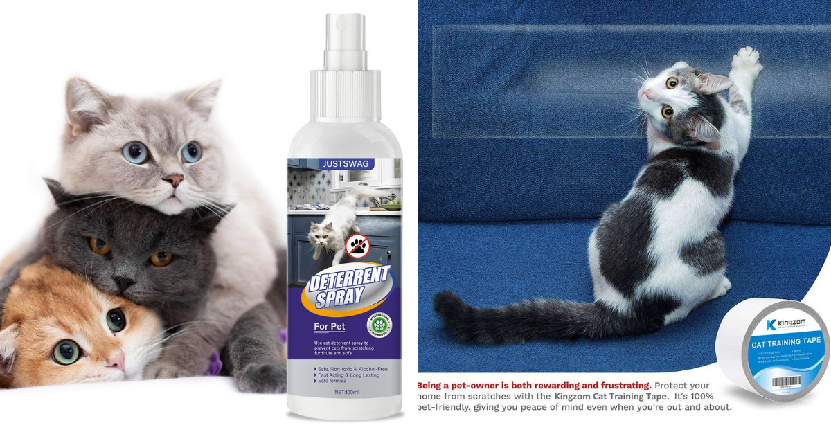 13 Proven Ways to Stop Your Cat from Clawing the Furniture - Exploring ...