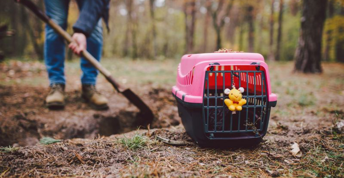 13 Reasons Backyard Pet Burials Are Risky and Safer Alternatives ...
