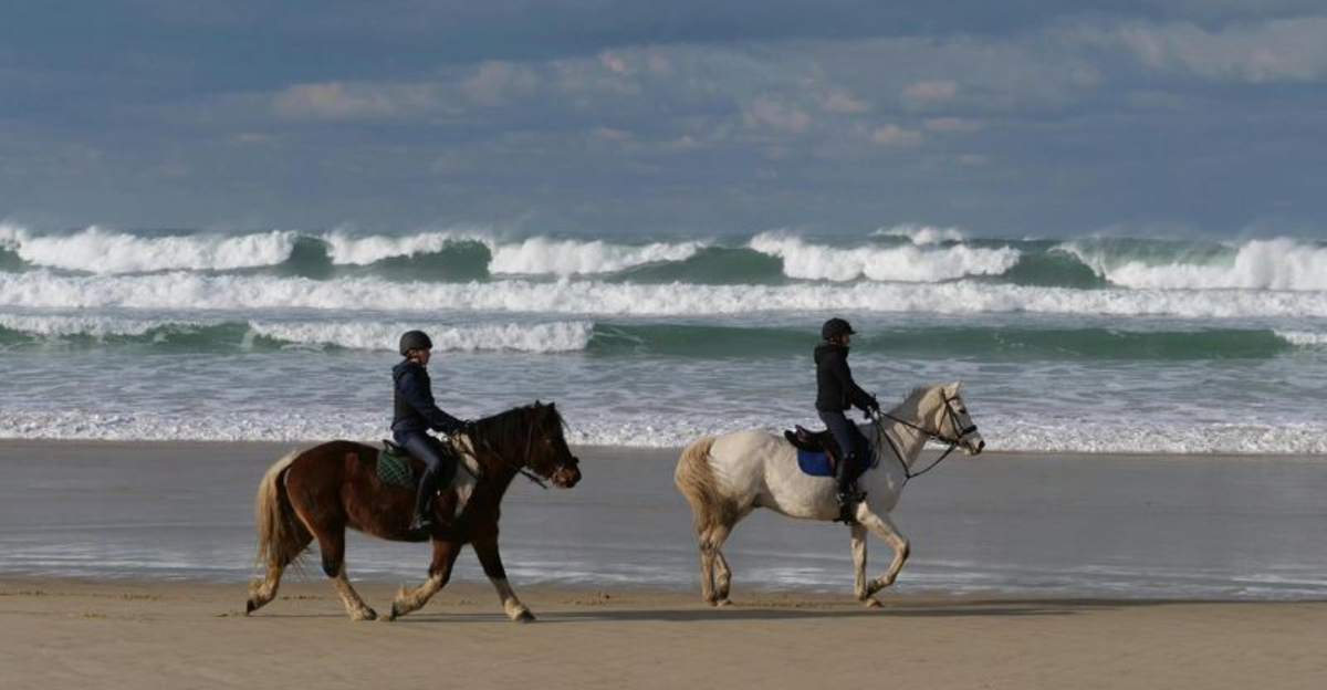 13 Reasons Why Horses Make the Best Adventure Companions - Exploring ...
