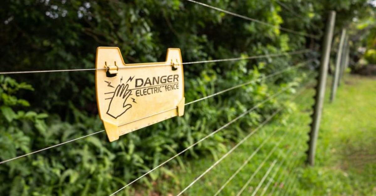 13 Simple Tricks For Keeping Wolves Out Of Your Yard - Exploring Animals