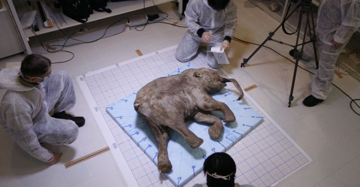 14 Ancient Creatures Found Frozen in Time and Perfectly Preserved ...
