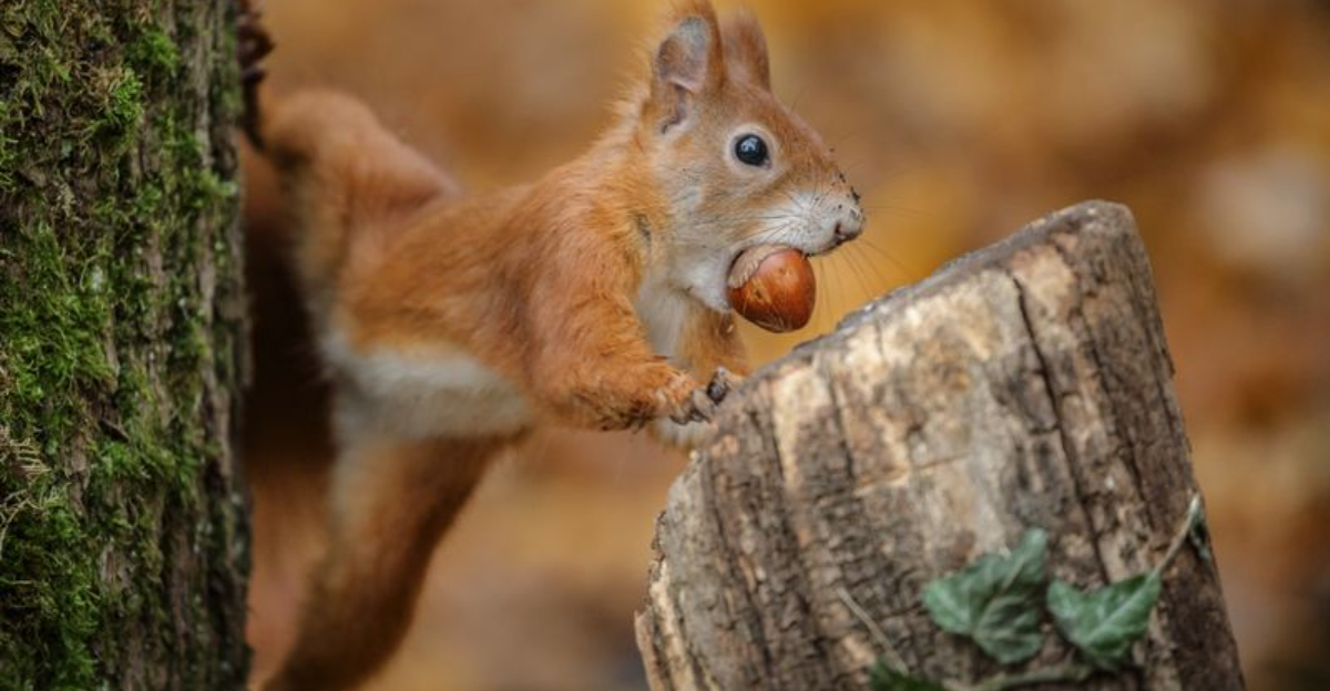 16 Clever Ways Animals Survive Extreme Winter Conditions - Exploring ...