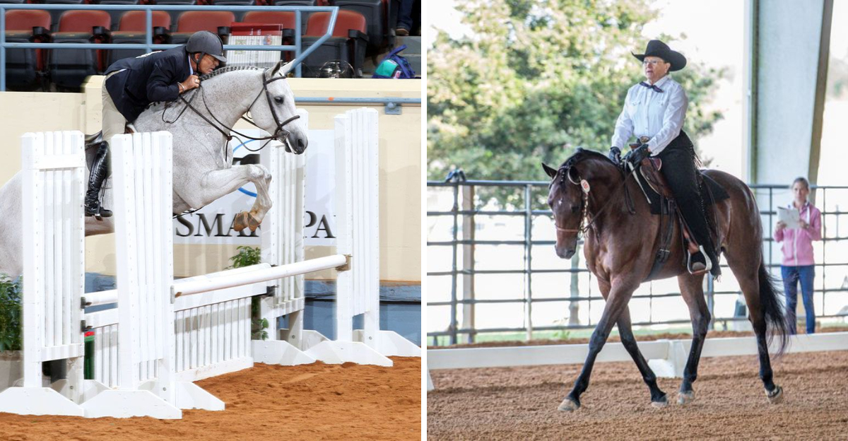 16 Fascinating Facts About the American Quarter Horse - Exploring Animals