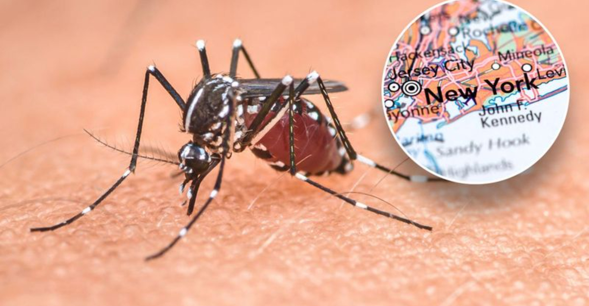 16 US States With The Most Mosquito Problems - Exploring Animals