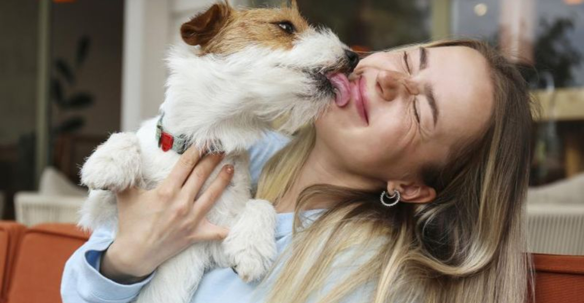 17 Sweet Ways Dogs Quietly Remind Us We’re Loved - Exploring Animals