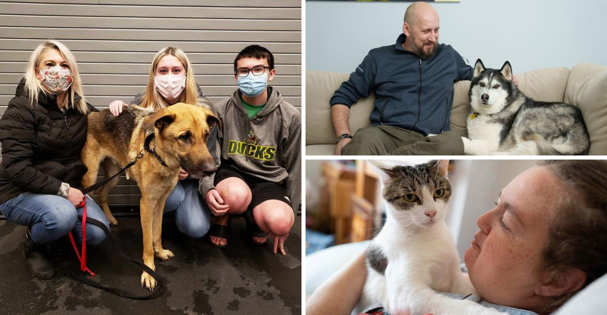18 Incredible Tales of Pets Saving Their Owners - Exploring Animals