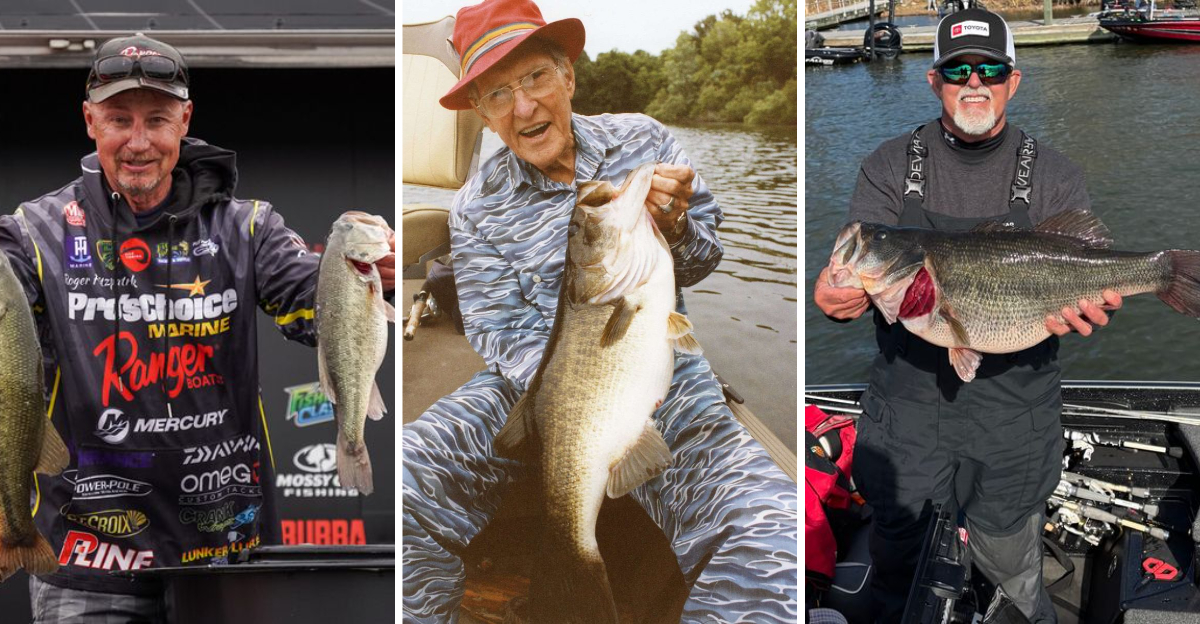 19 Legendary Bass Catches That Set Records in the U.S. - Exploring Animals