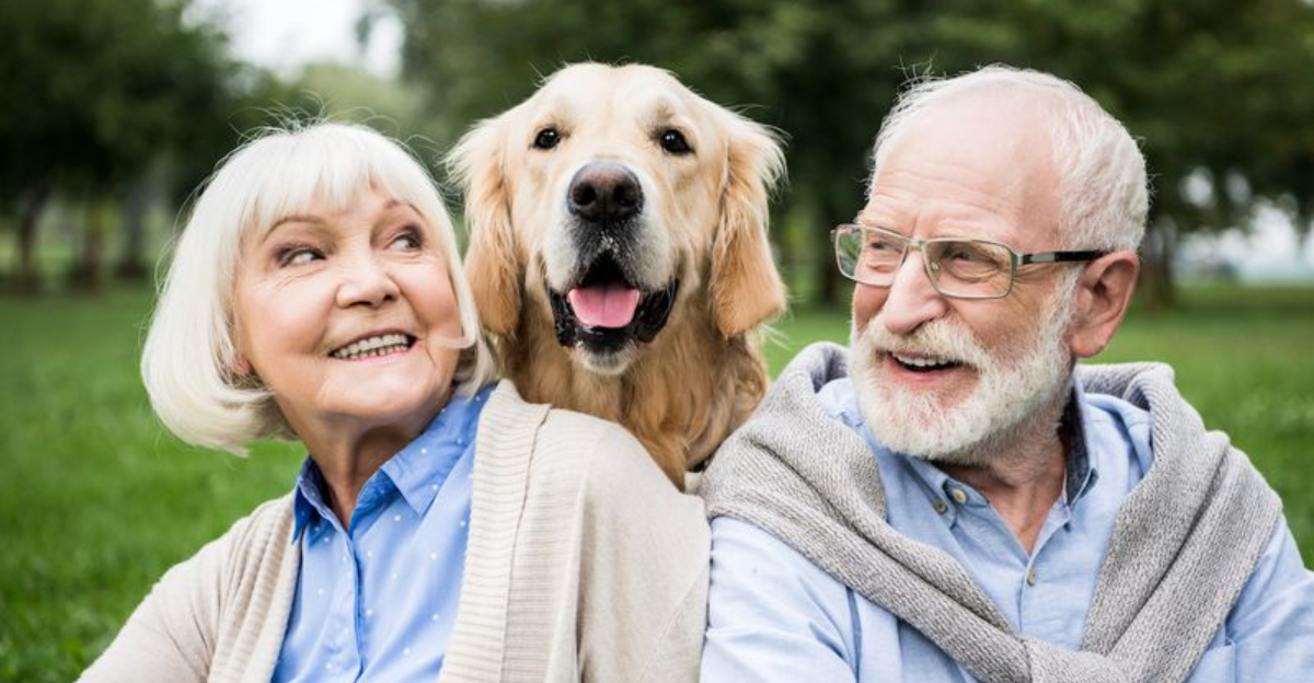 20 Heartwarming Ways Dogs Become Caretakers For Their Aging Humans ...