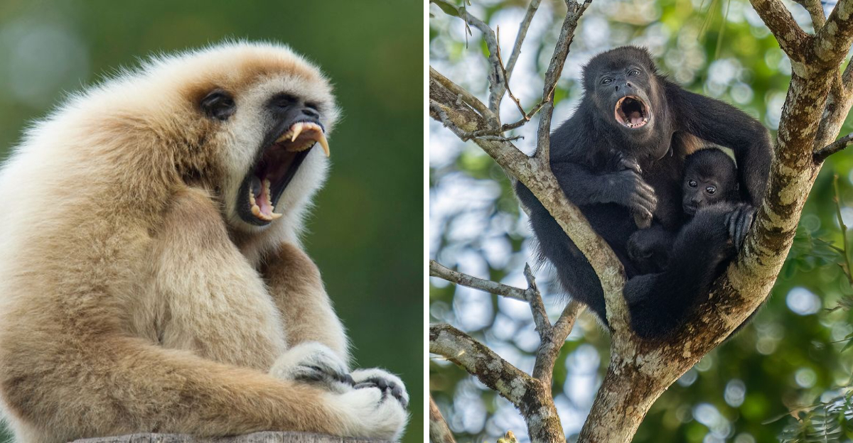 21 Loudest Animals in the World (Nature’s Biggest Noisemakers ...