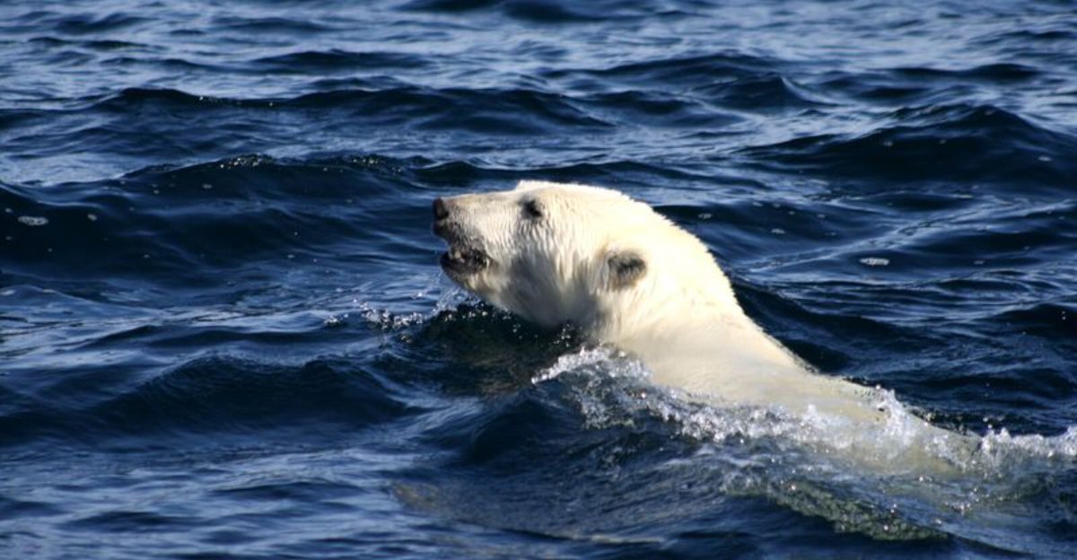 21 Versatile Animals That Conquer Land and Water - Exploring Animals