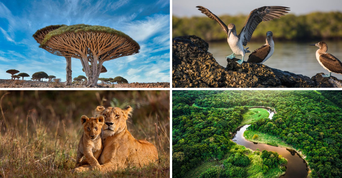 25 of the World’s Best Bucket-List Wildlife Destinations - Exploring ...