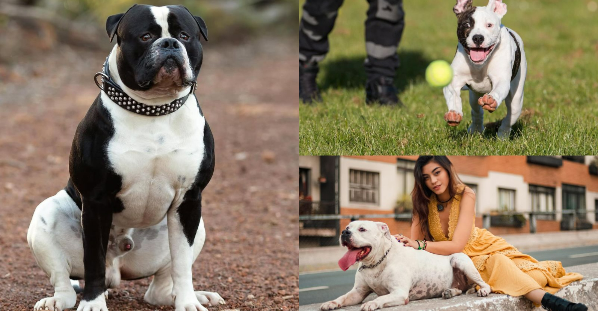 The 16 Key Characteristics That Define the Strong and Loyal American ...