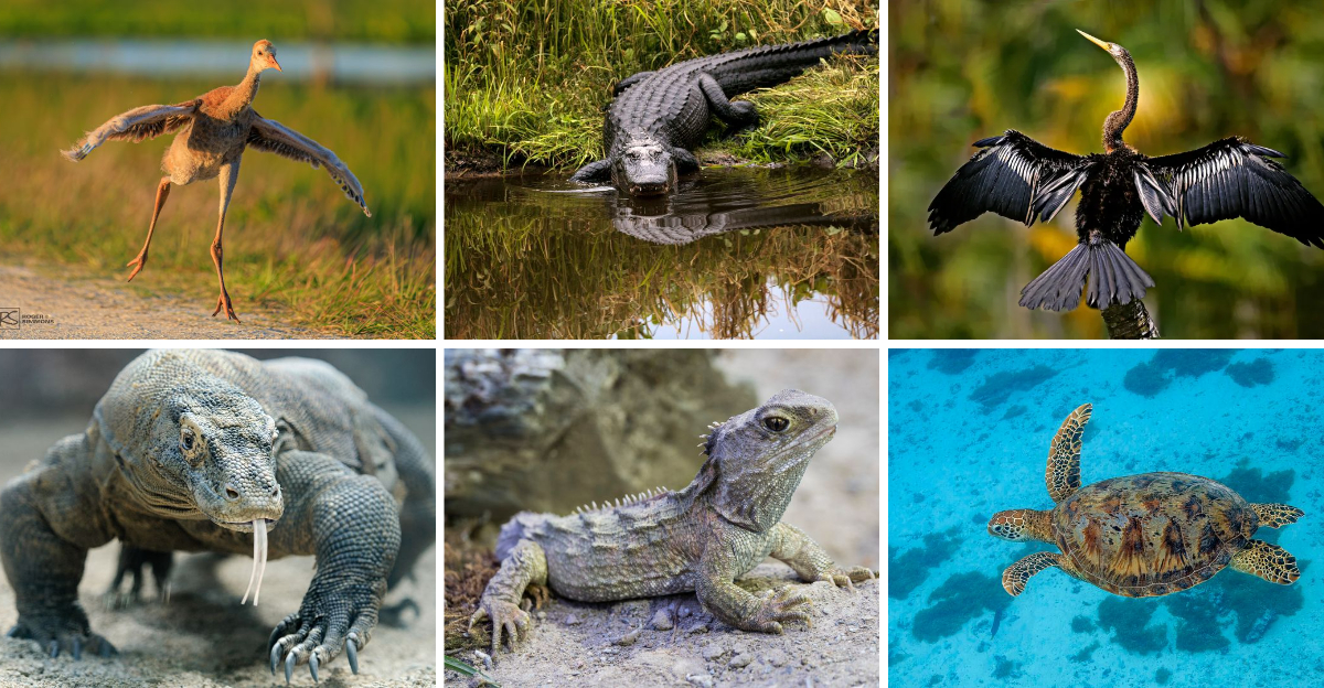 Top 20 Dinosaur Relatives Still Roaming Earth Today - Exploring Animals