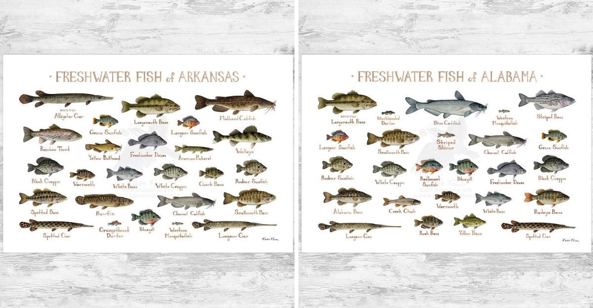 Which 20 States Have the Largest Freshwater Fish Populations ...