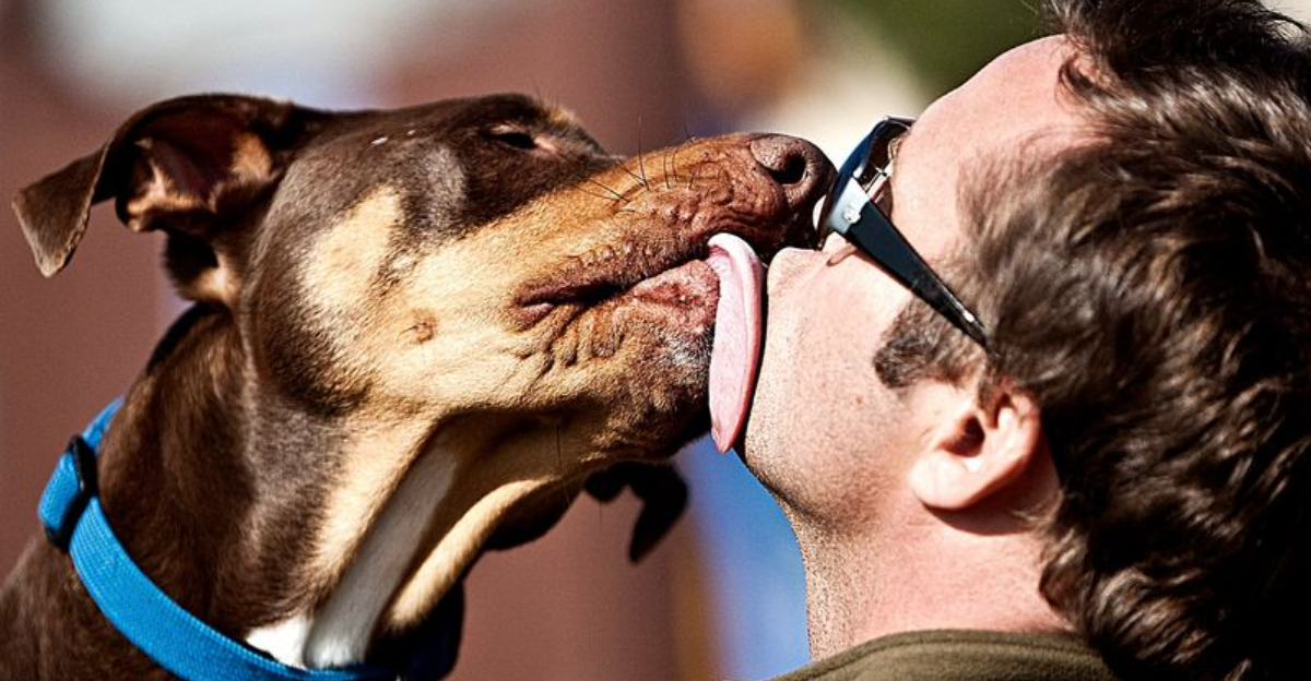 How to Tell If Your Dog Truly Loves You? 23 Signs to Watch For ...
