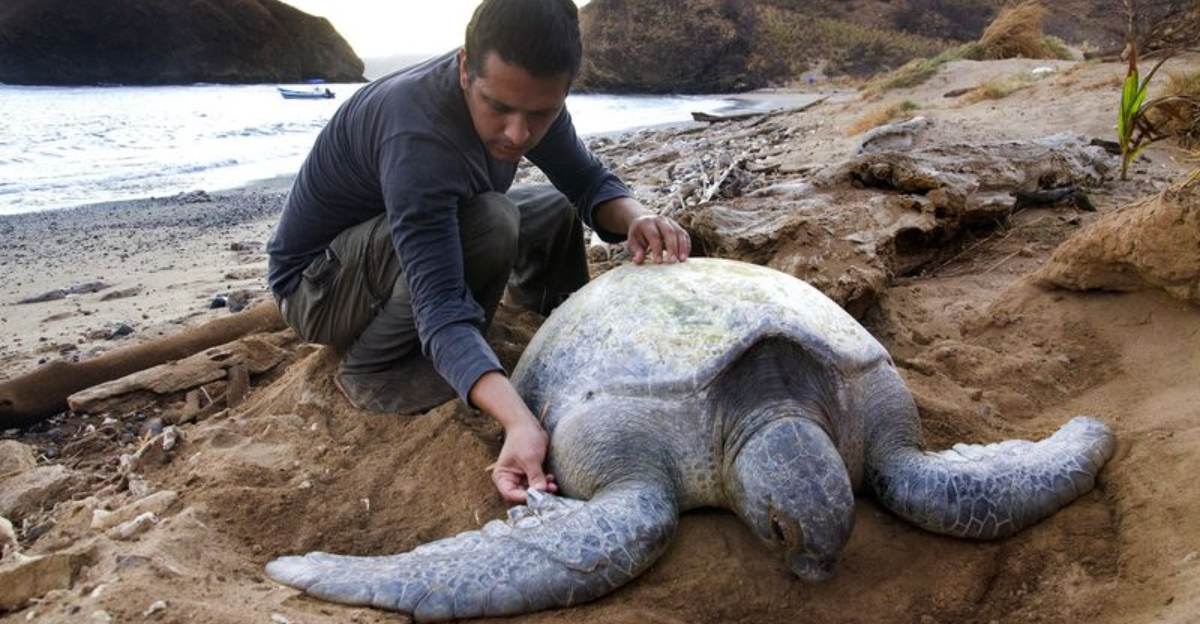 16 Inspiring Ways People Fought to Protect Local Wildlife (And ...
