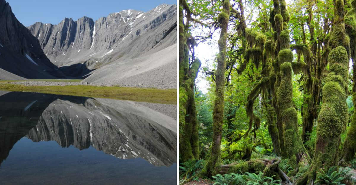 The 14 Last True Wild Places in America That Humans Have Barely Touched ...